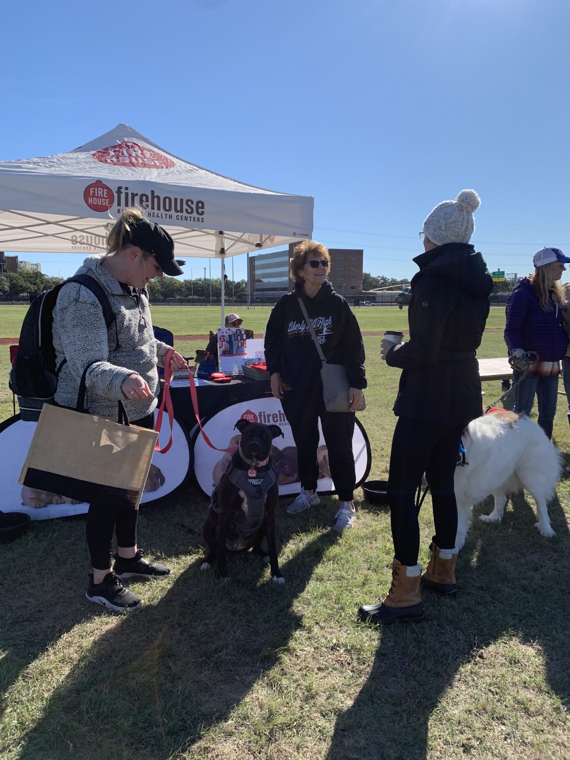 Mighty Texas Dog Walk | Firehouse Animal Health Center 183